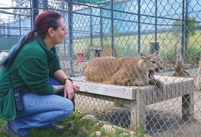 Cat Tales considers possible relocation | Spokane Journal of Business