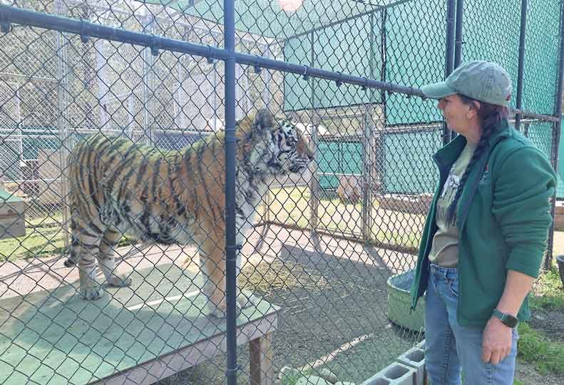What's Going on with: Cat Tales Wildlife Center | Spokane Journal of ...