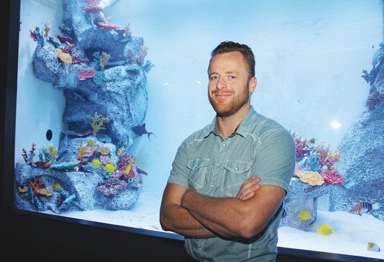 Blue Zoo prepares to dive in with Spokane aquarium attraction | Spokane ...